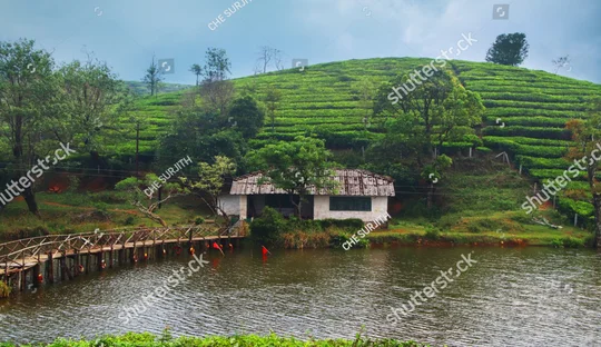Vagamon Tour Package from Chennai – Explore Scenic Beauty