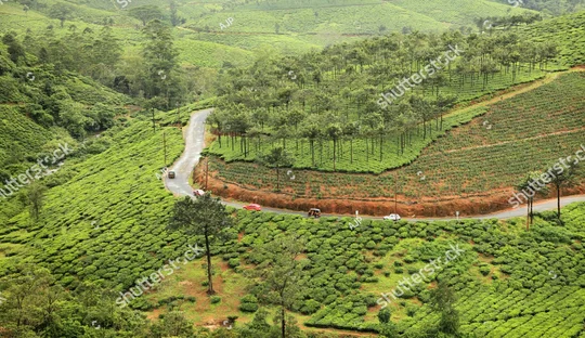 Vagamon Tour Package from Chennai – Explore Scenic Beauty